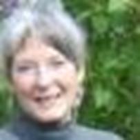 Loop | Sara Nora Ross