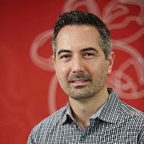 Loop | Tobias David Merson