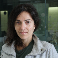 Loop | Laura Ciammaruchi