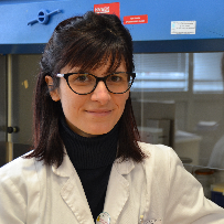 Loop | Laura Pandolfi