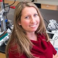 Loop | Kimberly Kegel-Gleason