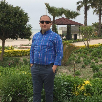 Loop | Hamed Arshadi