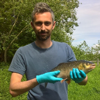 Loop | Andrew Vowles