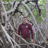 Loop | Samuel Harrison Neely