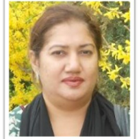 Loop | Farrukh Naeem