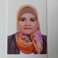 Loop | Abeer M. Adel