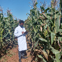 Loop | Abenezer Abebe Tefera