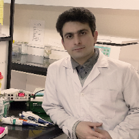 Loop | Alireza Salimi Chirani