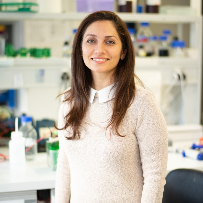 Loop | Sheida Moghadamrad