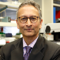 Loop | Anil K. Lalwani