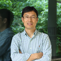 Loop | Xiaodong Yang