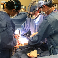 Loop | Jeffrey Allen Norton