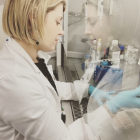 Loop | Desirée Bartolini