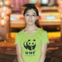 Loop | Lin Wu