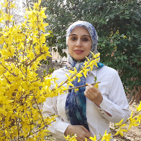 Loop | Masoomeh Gholami