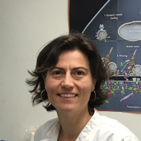 Loop | Esther Gratacòs-Batlle