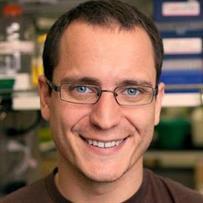 Loop | Reece Joseph Goiffon