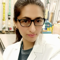 Loop | Shehla Mushtaq