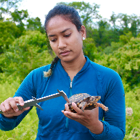 Loop | Anne Devan-Song