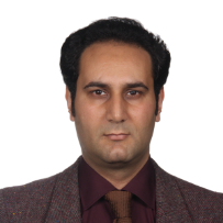 Loop | RAMIN HASHEMIHESAR