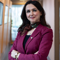 Loop | Elahe Alizadeh