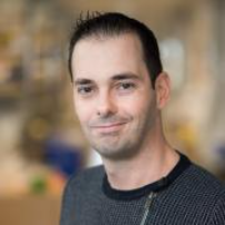 Loop | Thomas Botton