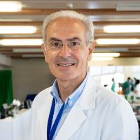 Loop | Domenico De Angelis