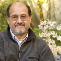 Loop | Jorge Juan Santiago-Aviles