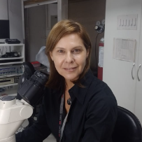 Loop | Alessandra Matavel