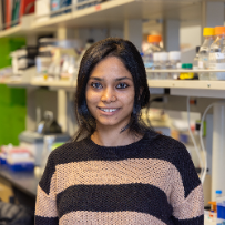 Loop | Anjali P. Patni