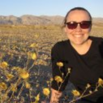 Loop | Anna M Kearns