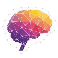 Loop | Frontiers In Cellular Neuroscience Editorial Office