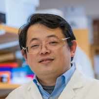 Loop | Yizhou Joseph He