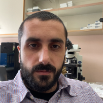 Loop | Dimitris Goutas