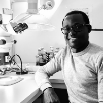 Loop | Charles Kwadha