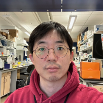 Loop | Cheng-Rong Yu