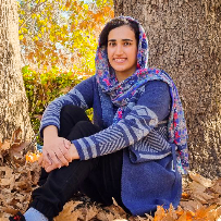 Loop | Pardis Mansouri