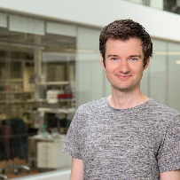 Loop | Arthur Fischbach