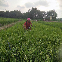 Loop | RAHUL SADHUKHAN