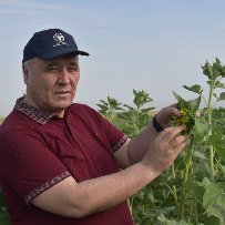 Loop | Aziz Israilovich Nurbekov