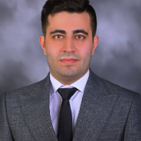 Loop | Reza Mosaddeghi Heris