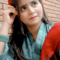 Loop | Sana Abdul Ghaffar