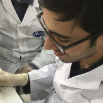 Loop | Hamid Hajigholamreza