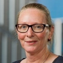 Loop | Sylvia de Pater