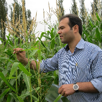 Loop | Mohammad Hossein Ansari