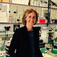 Loop | Judith Favier