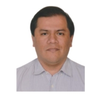 Loop | Fernando A. Lamas-Delgado