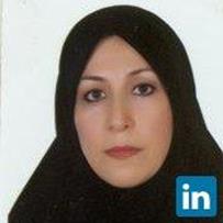 Loop | Mitra Gholami