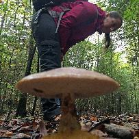 Loop | Megan Arlene Rúa