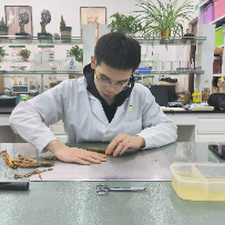 Loop | Xingzhuoran Xing